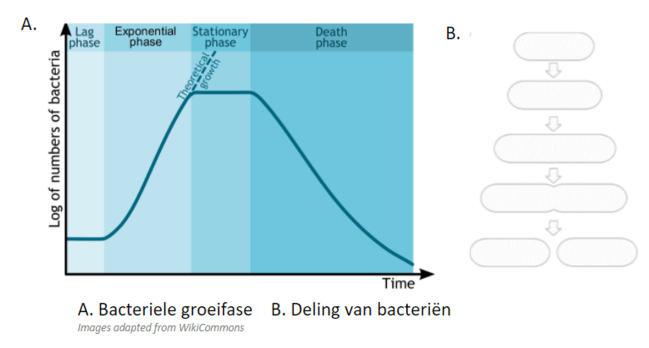 Dwaze wetenschappers verhongeren bacteriën al jaren.