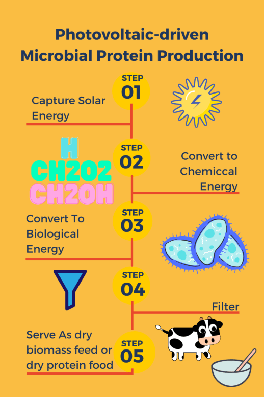 Plant protein or microbial protein, which is better?