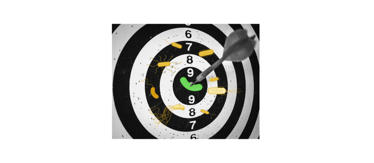 Next-level gene editing with DARTs