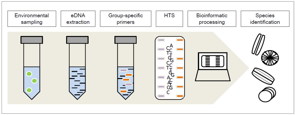 Een stem voor protisten
