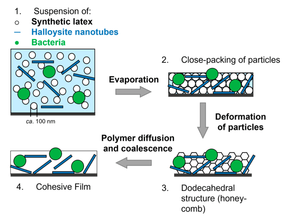Photosynthetic “Living Paint” Breathes Life into Green Future