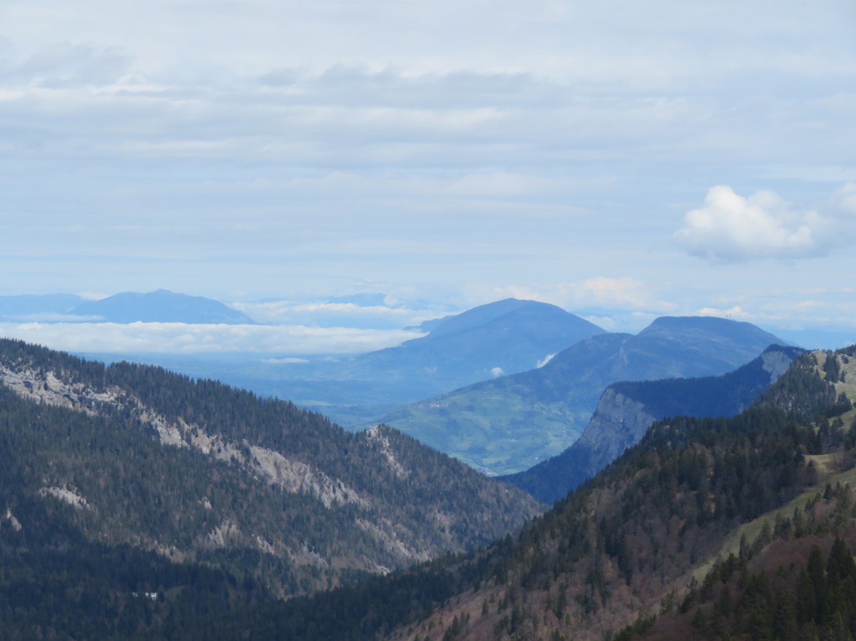 Unlocking the Secrets of the Sky: Investigating Microbes in Clouds