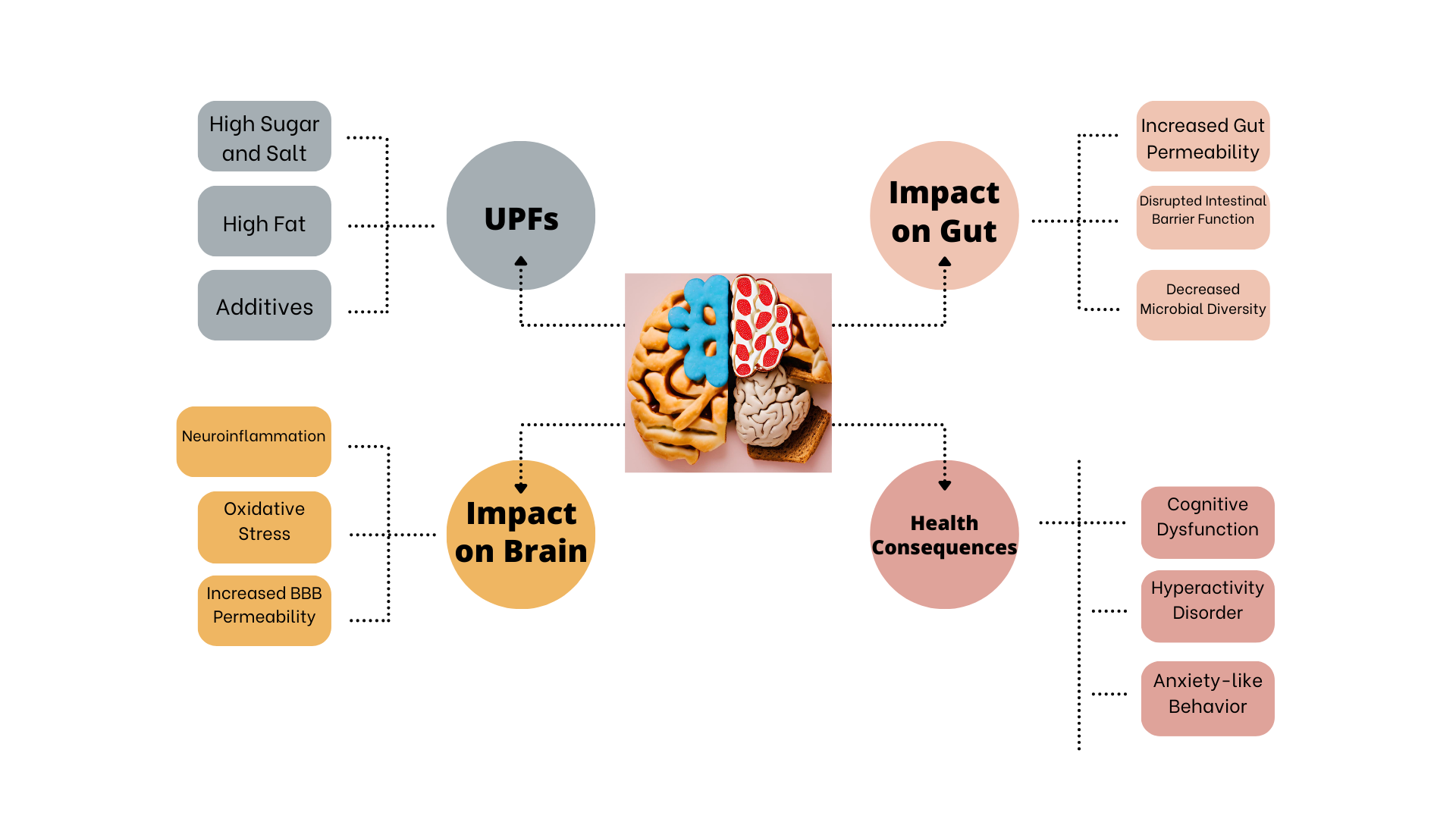 Ultra-Processed Foods: Brain’s Arch Nemesis