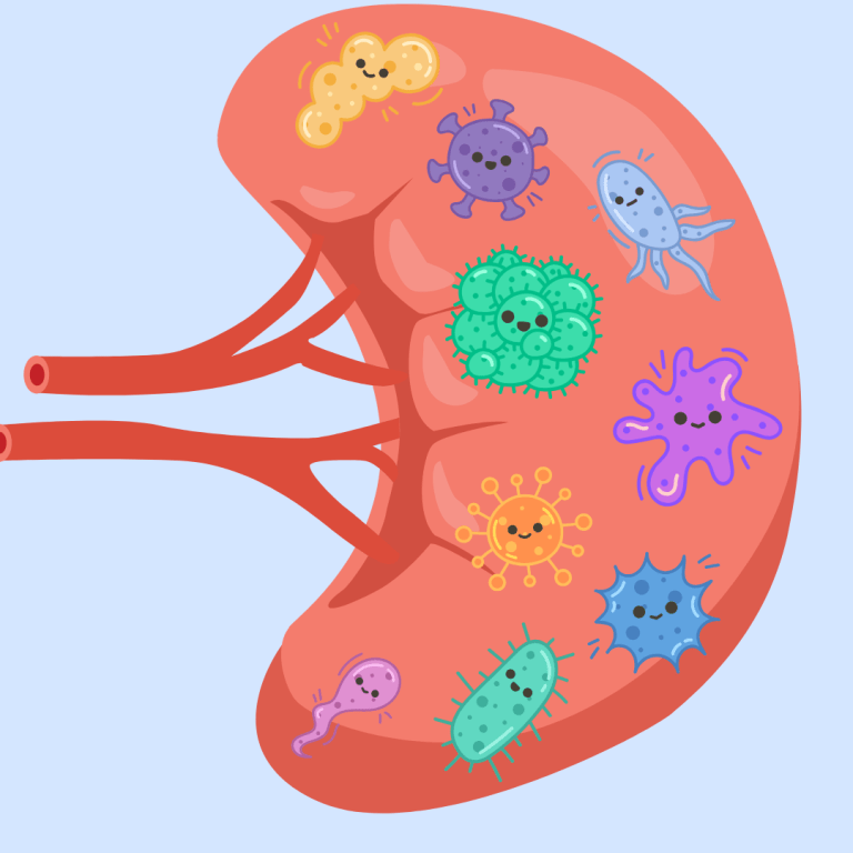 The New Biome in Town