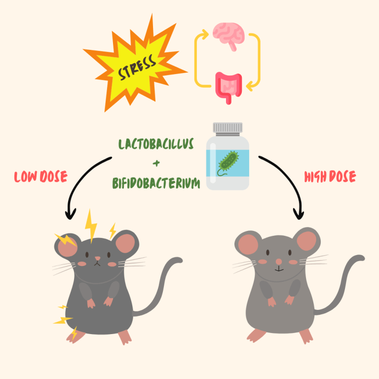 High-Dose Probiotics Improve Mood in Stress Model